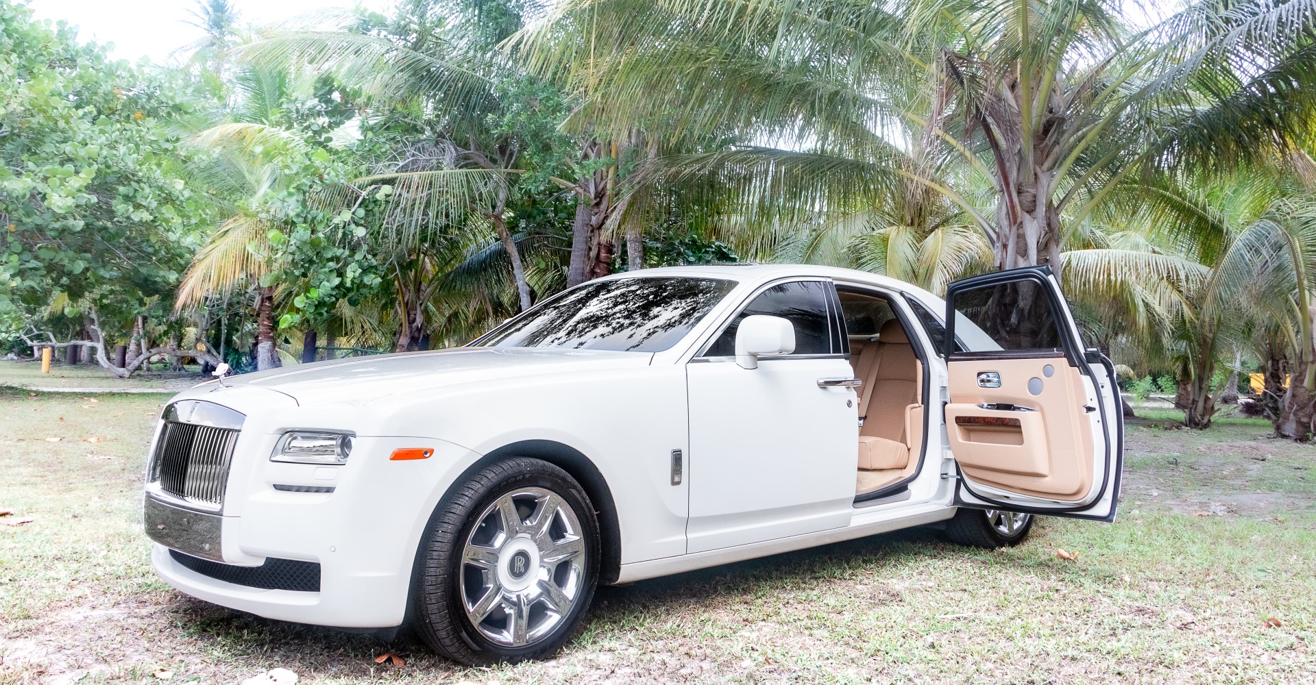 Limo Service – Wintberg Tropical